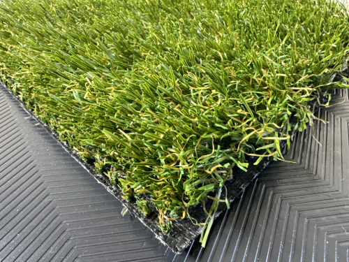 Summer Rye - Turf Warehouse USA - Residential Artificial Grass