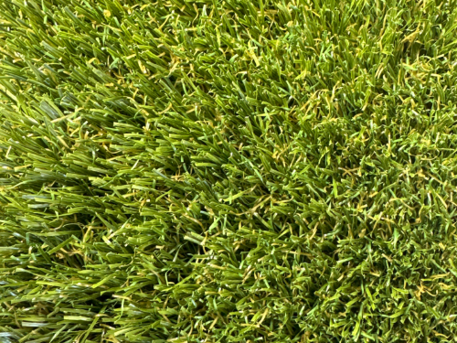 Summer Rye - Turf Warehouse USA - Residential Artificial Grass